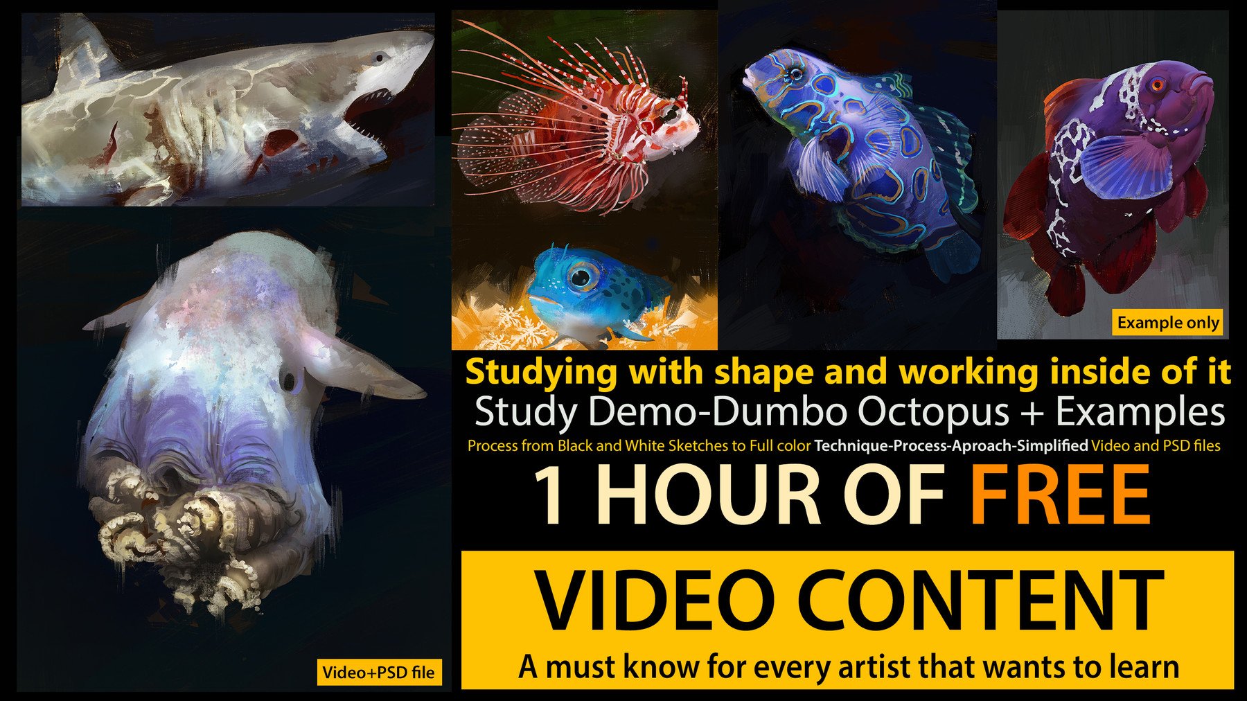 How to Study with Shape-FREE Tips Series- by Hue Teo