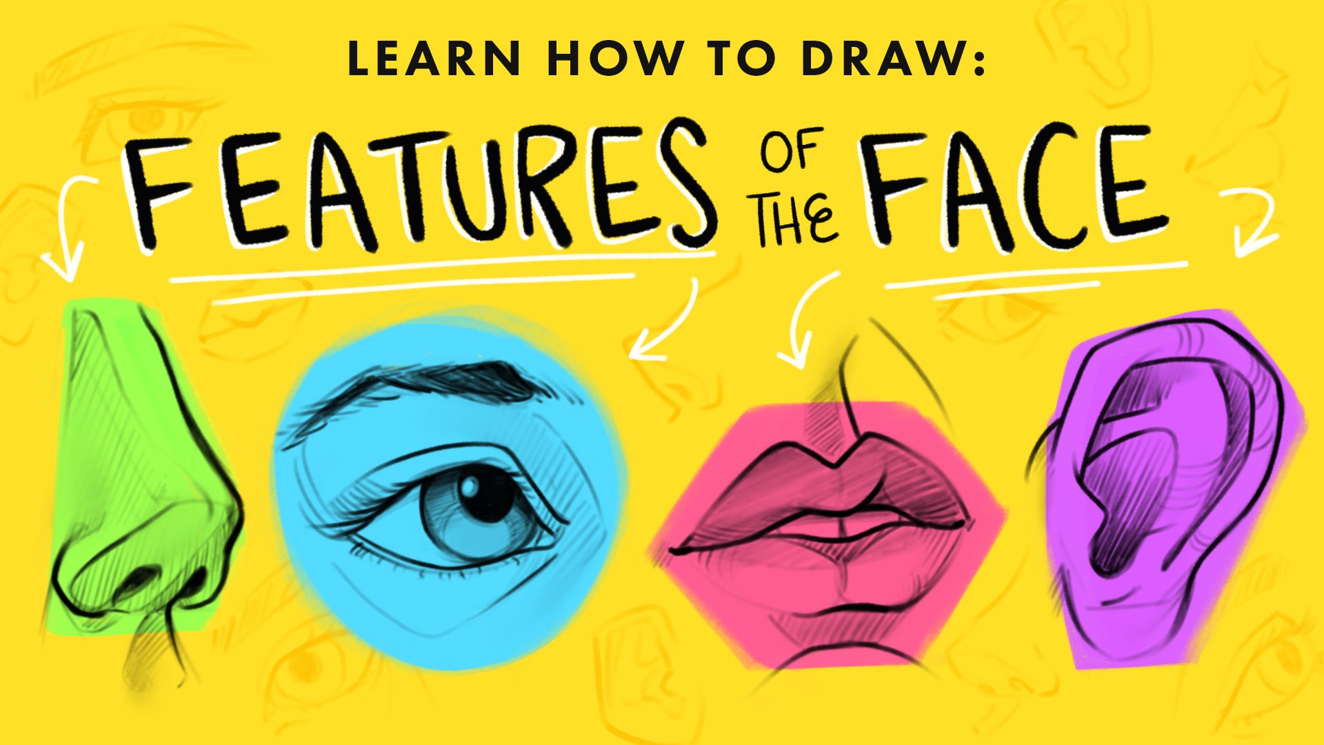 Learn How to Draw - Features of the Face by Melissa De Nobrega