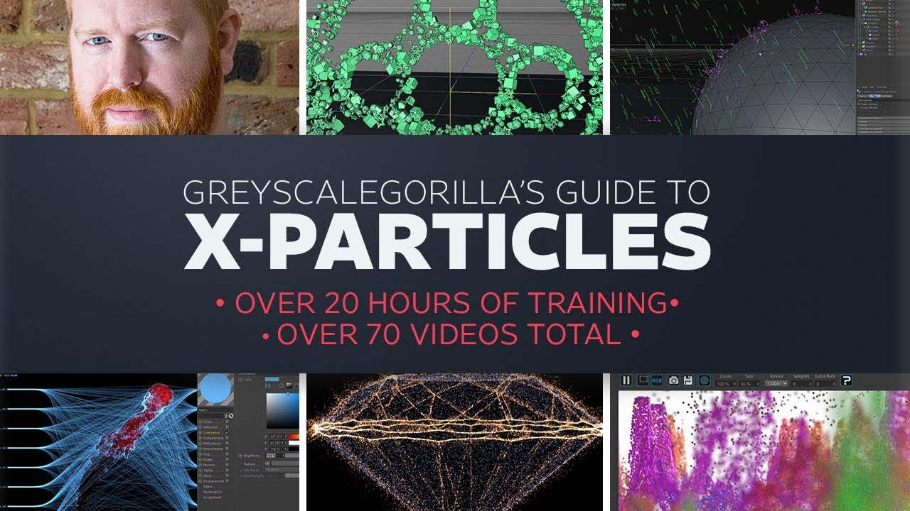 Guide to X-Particles