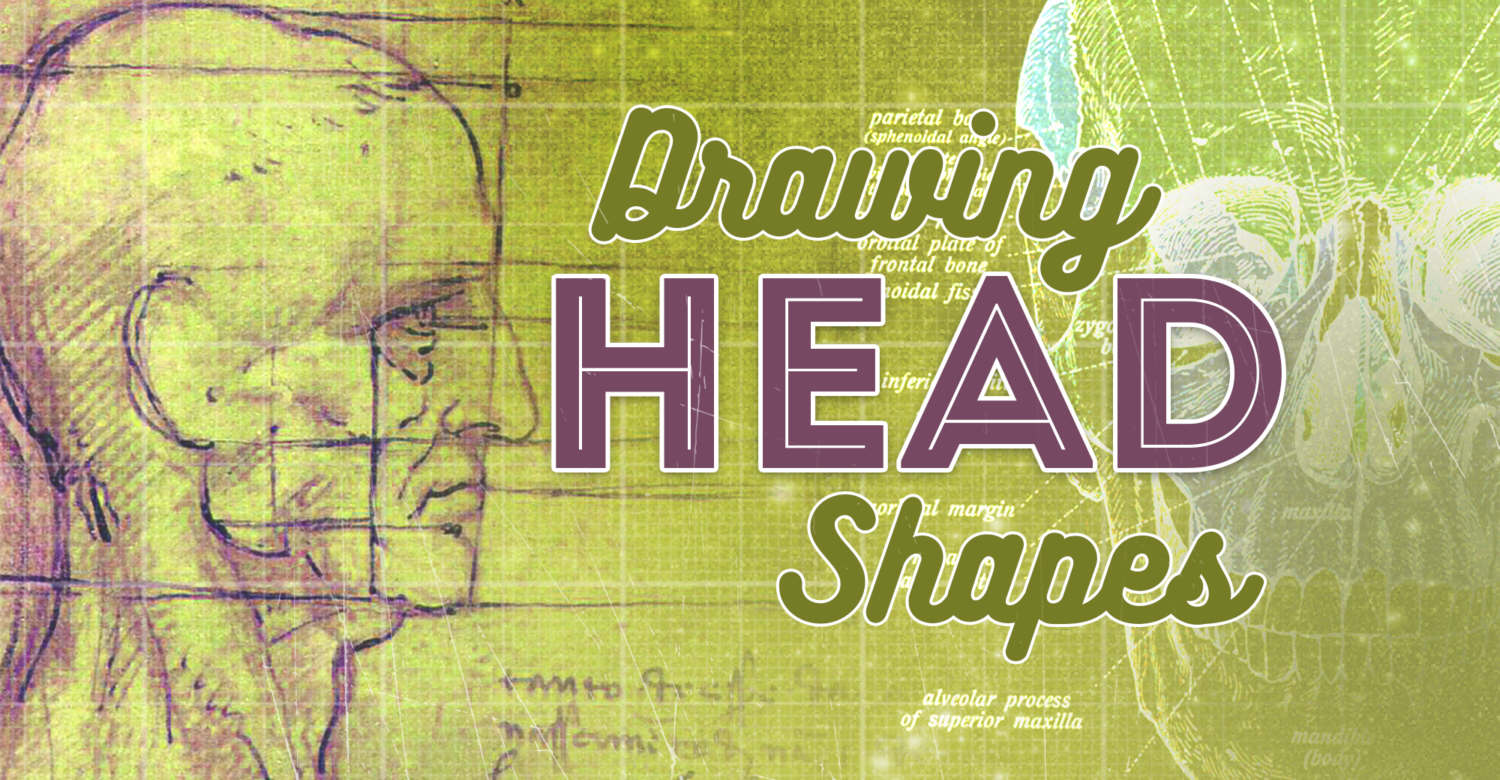 Drawing Head Shapes