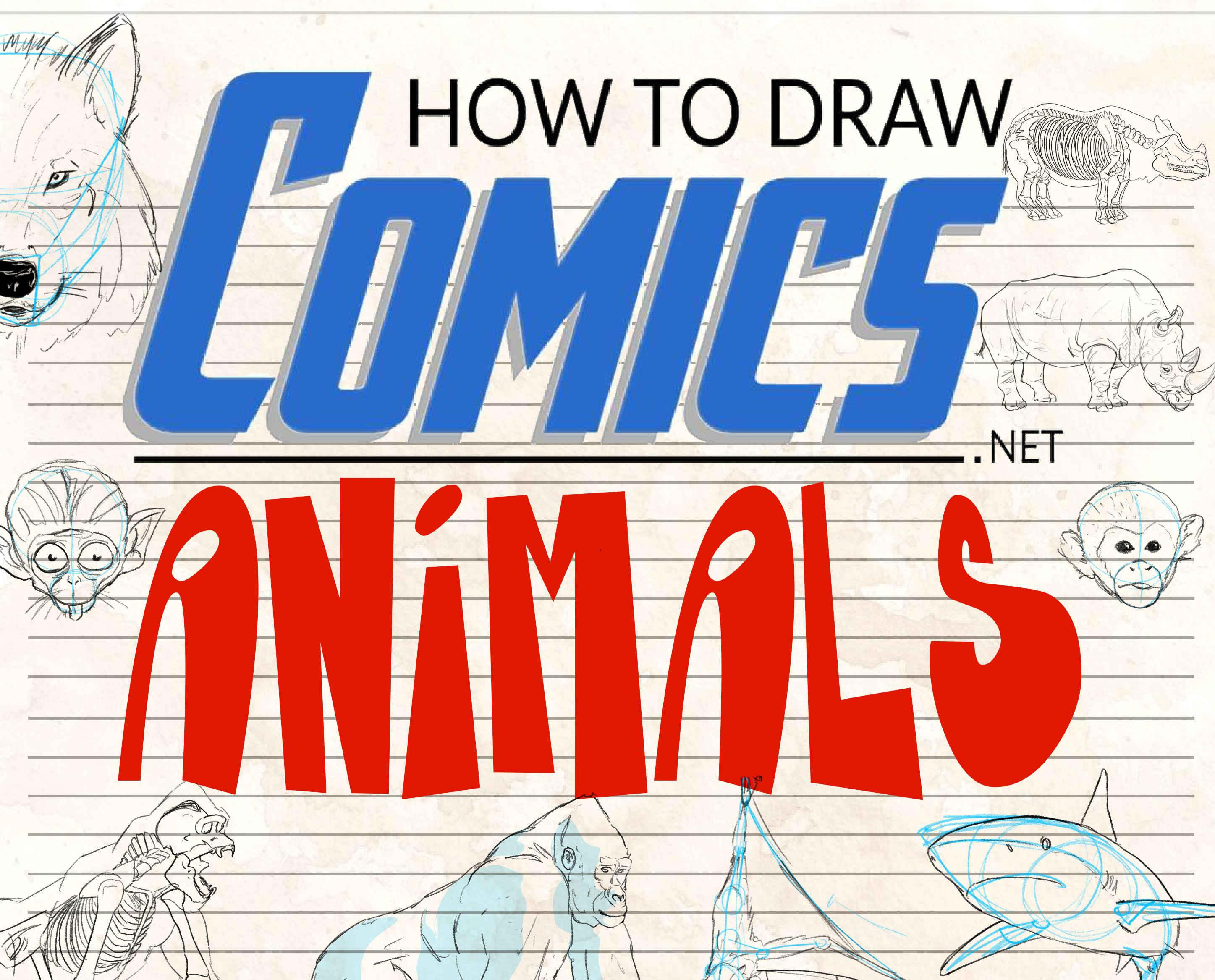 How To Draw Animals