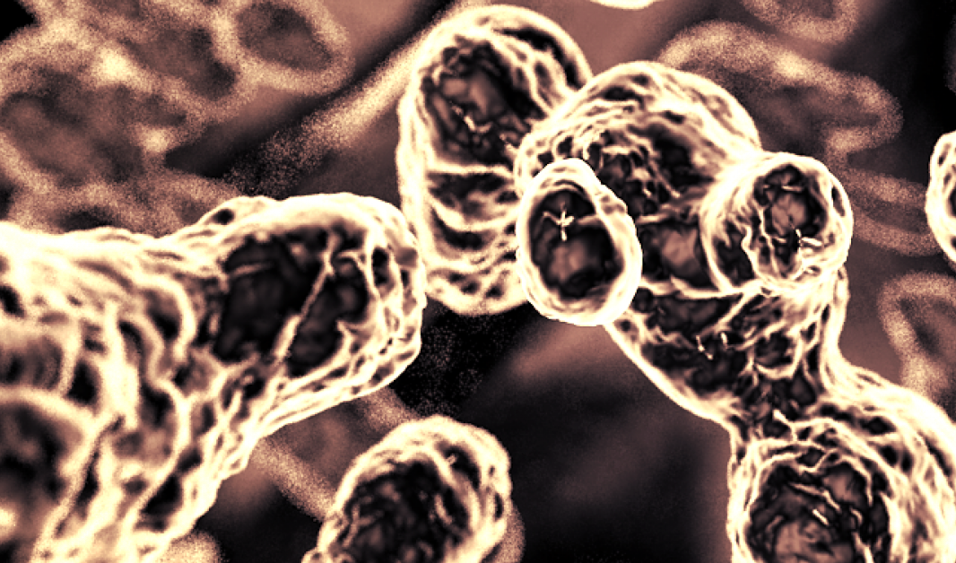 Patrick Foley - Create a Micrograph-Styled Image in Cinema 4D