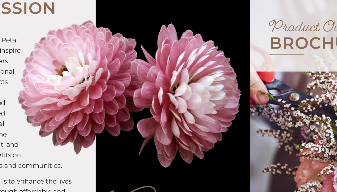 InDesign 2020 New Features