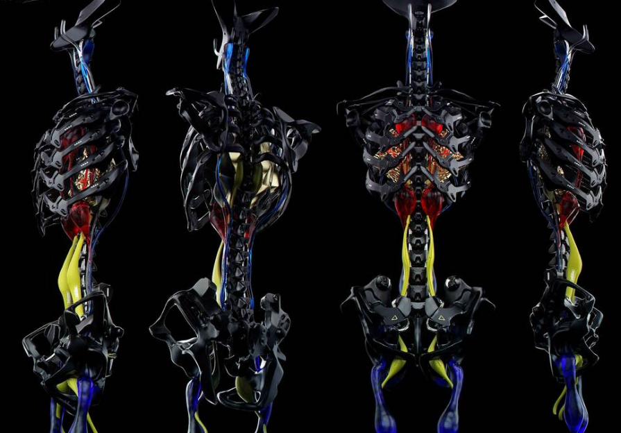 Endo Skeleton Tutorial