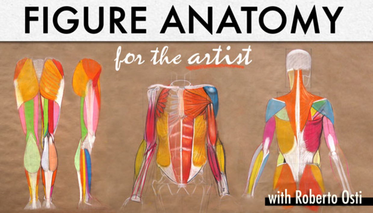 Figure Anatomy for the Artist by Roberto Osti