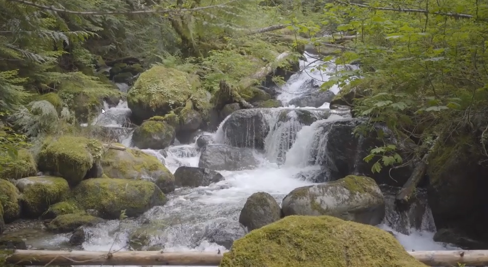 Ian Hubertz Tutorials Bundle