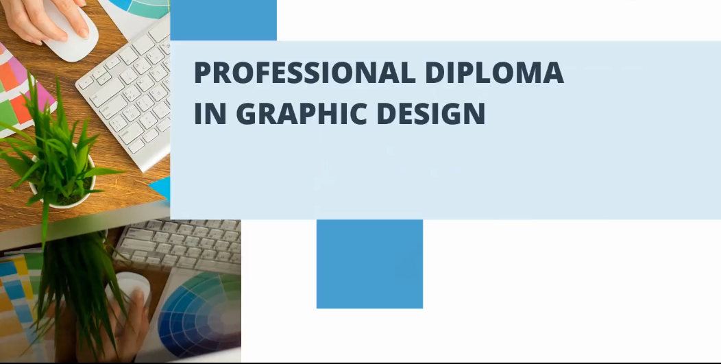 Professional Graphic Design Course