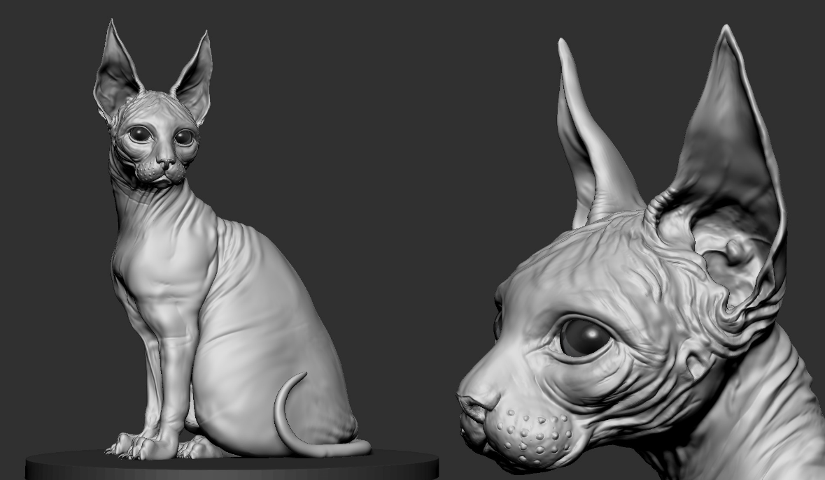 Sphinx cat sculpt Tutorial by Pierre Benjamin