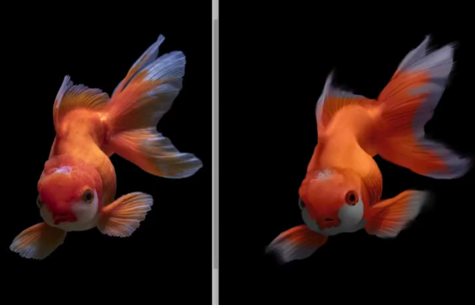 Color Rendering Techniques