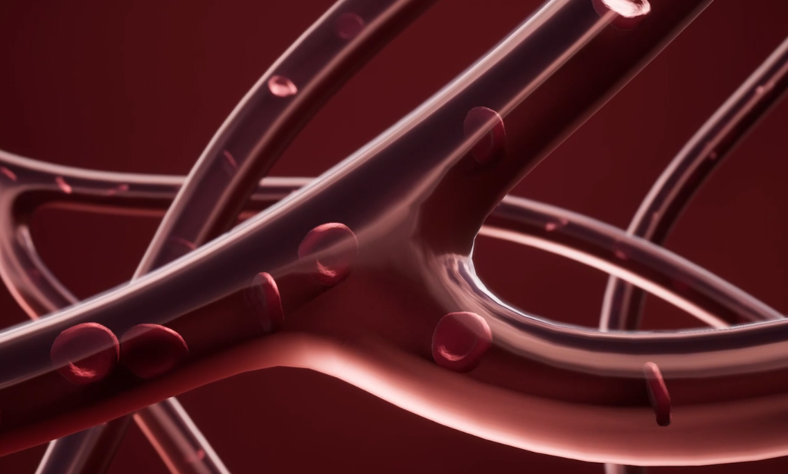 Blood cells simulation with Real-Time rending by Artist Universe