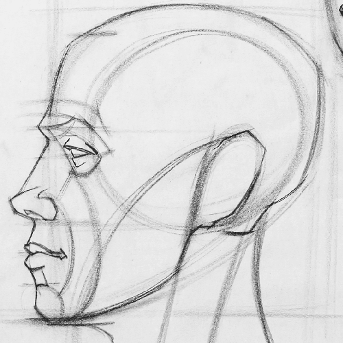 Head Drawing Fundamentals - Skull - Start to Finish – Streaming
