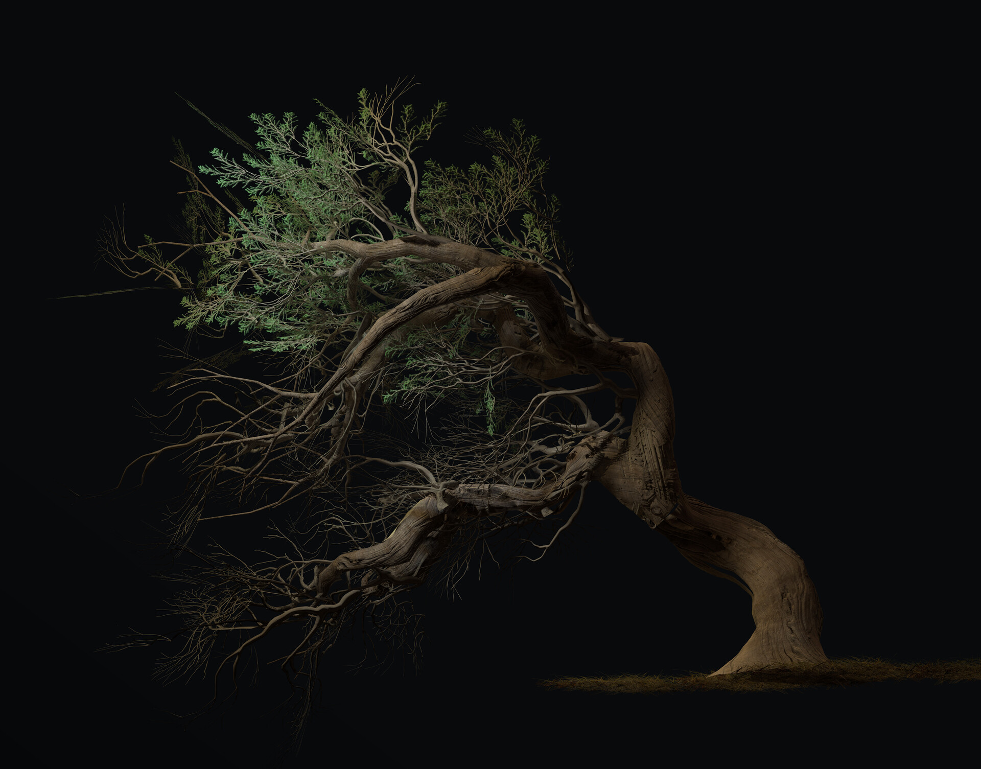 Foliage Tree Creation in Maya and Zbrush Tutorial and Assets