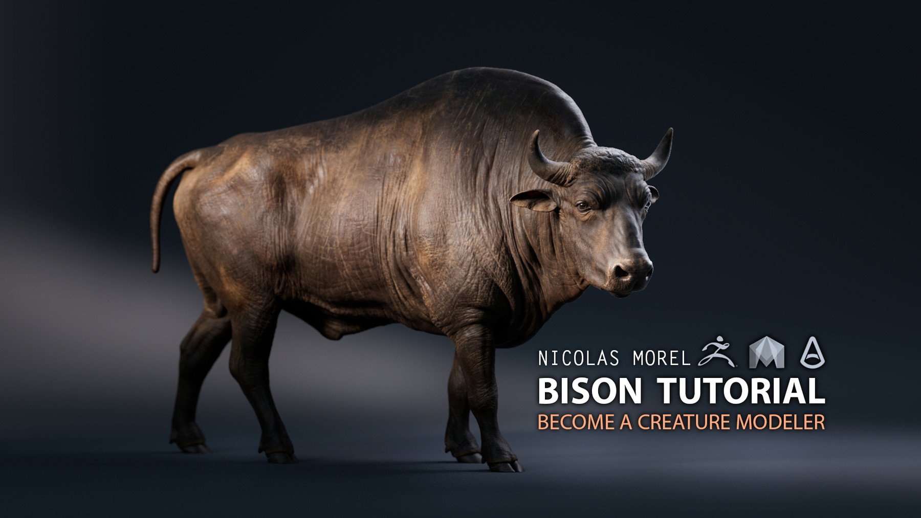 Bison Modeling Tutorial by Nicholas Morel