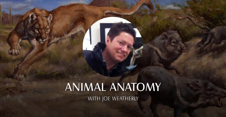 Introduction to Animal Anatomy (Live Class – April 2022) with Joe Weatherly