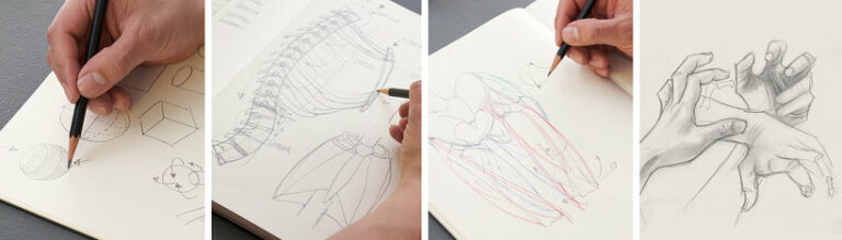 Anatomical Drawing of Limbs, Hands and Feet (Spanish, Eng sub)