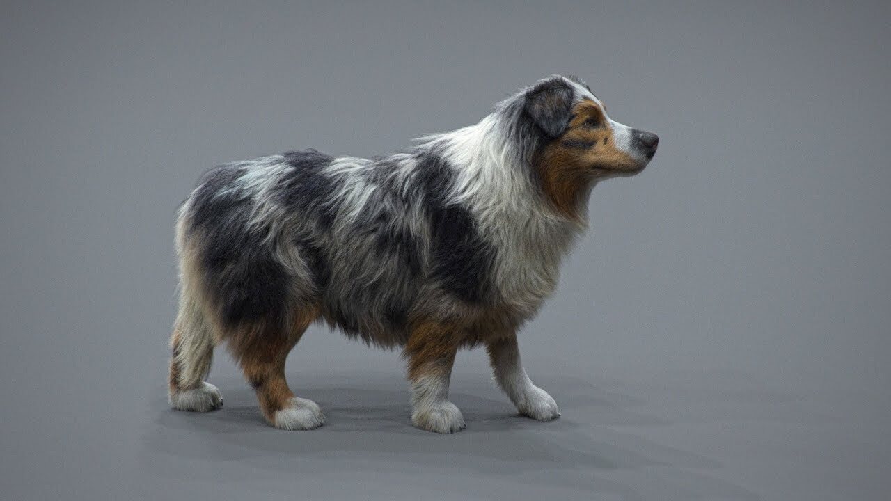 Realistic Dog Grooming for Production with XGen by Jordan Soler