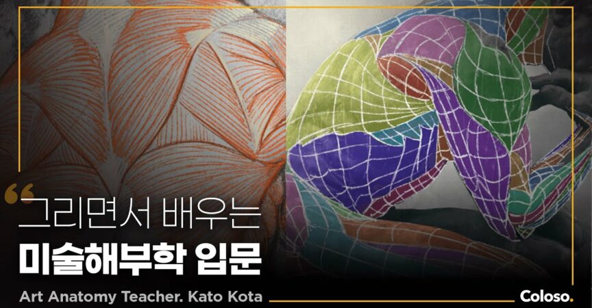 Art Anatomy Fundamentals - Learn Through Drawing - 그리면서 배우는 미술해부학 입문 ...