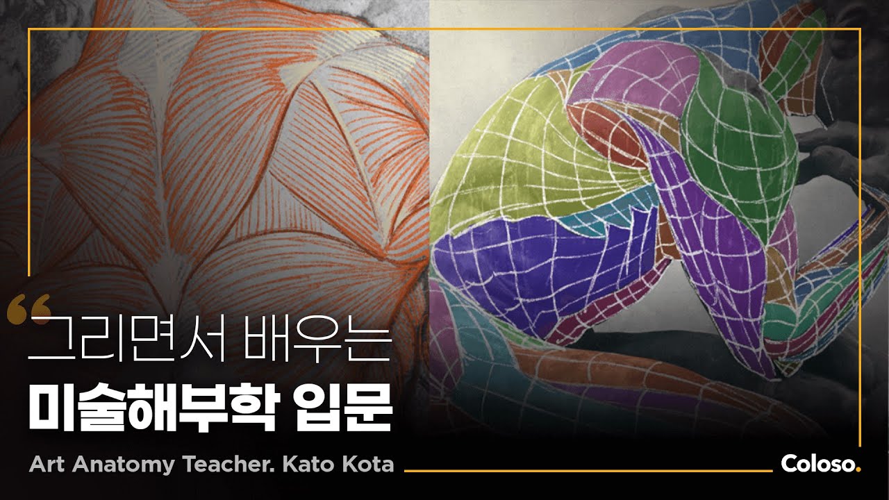 Art Anatomy Fundamentals - Learn Through Drawing - 그리면서 배우는 미술해부학 입문 ...