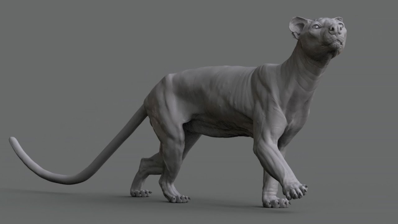 Animal Anatomy - Modeling a Fossa by Aritz Basauri
