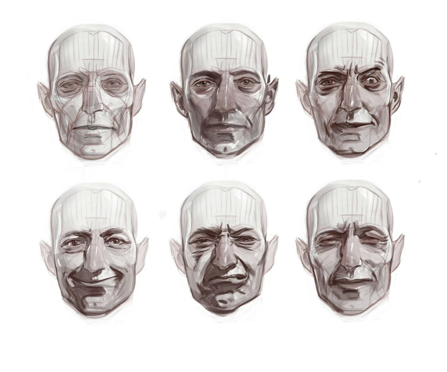 Head Drawing and Construction [Proko, Michael Hampton, Group-Buy]