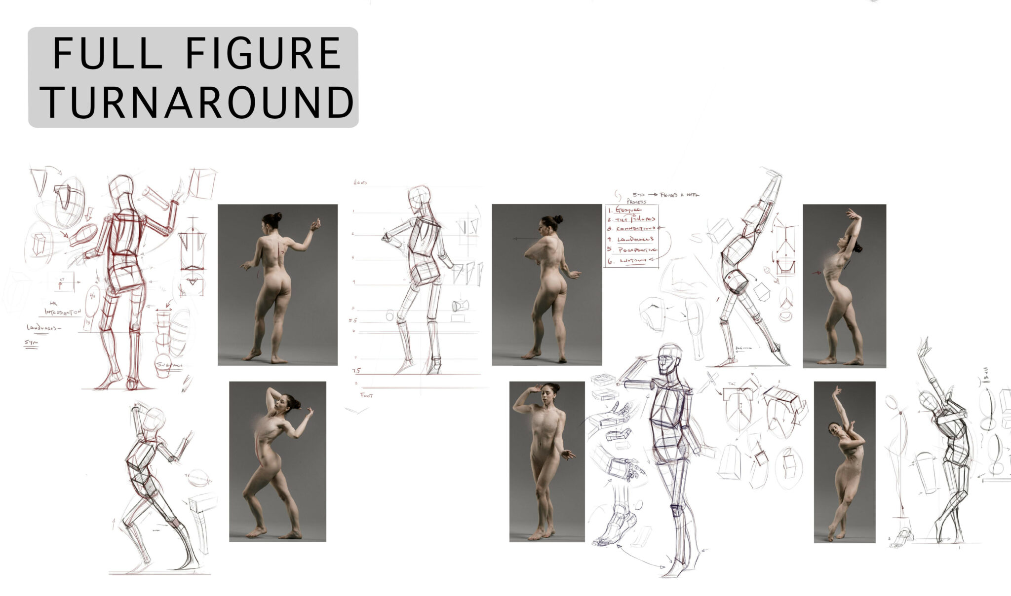 Introduction to Figure Construction [Proko, Michael Hampton, Group Buy]