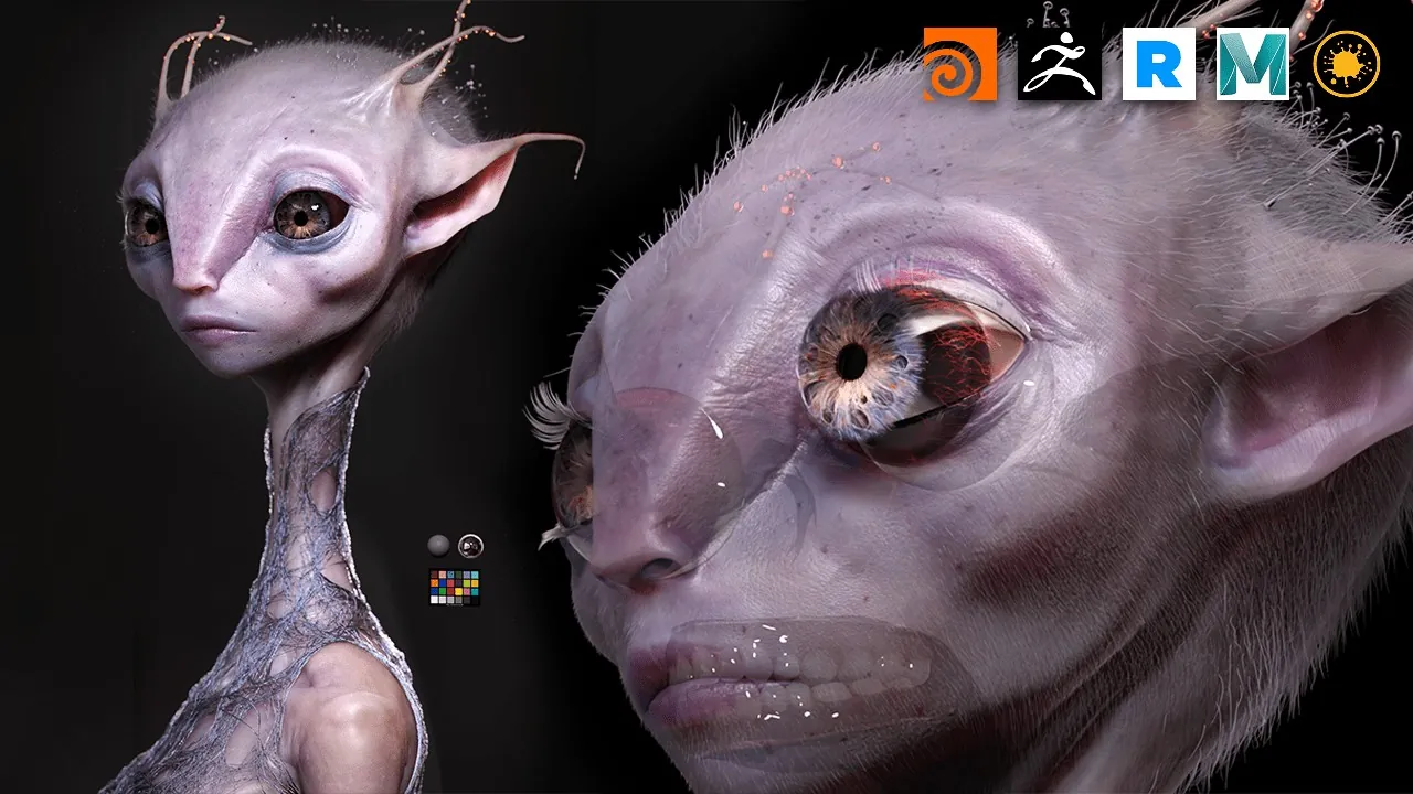 The Definitive Character Workshop for Movies and Games by Christopher ...